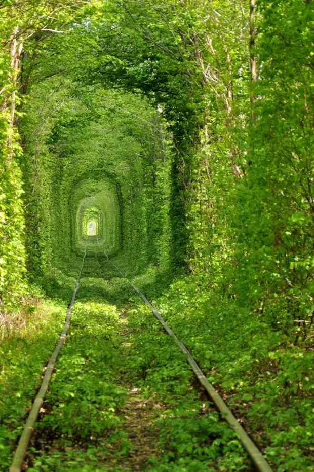 Tunnel of Love Klevan, περιοχή Rivne, Ουκρανία