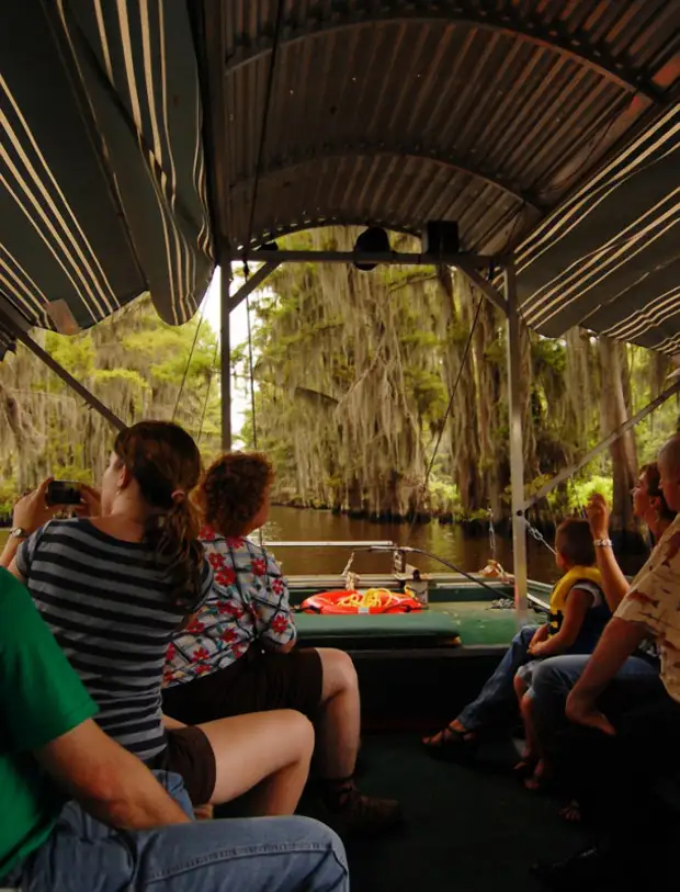 Mitengo yodabwitsa ya cypress ya Caddo Lake, USA