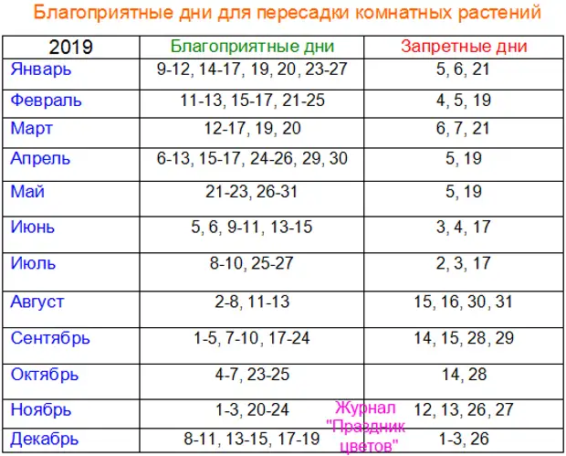 Ditë të favorshme për transplantimin e bimëve të brendshme sipas kalendarit hënor në 2019