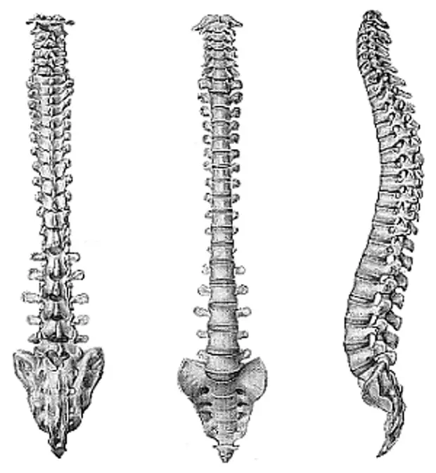 Posture en psychology: wêr is de ferbining?