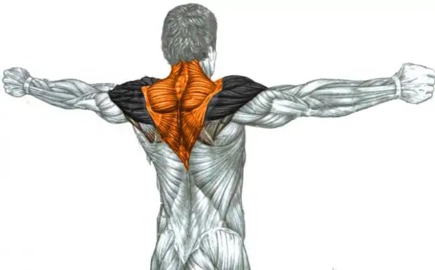 Posture and psychology: where is the connection?