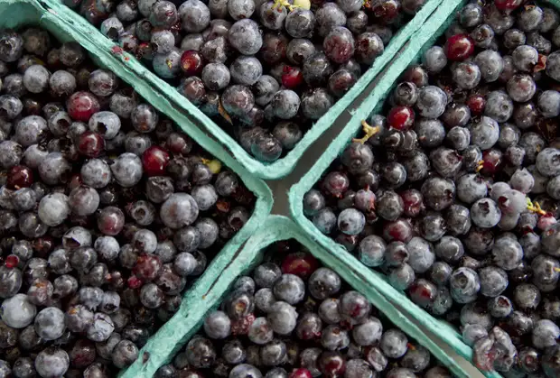 Skonio imitacija. 10 dažniausiai padirbtų maisto produktų