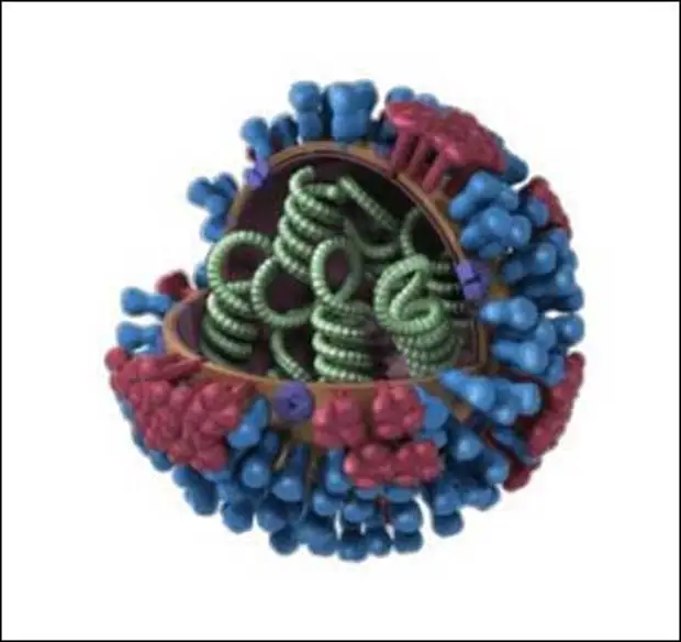 Pangeusian Virus Flu Burung