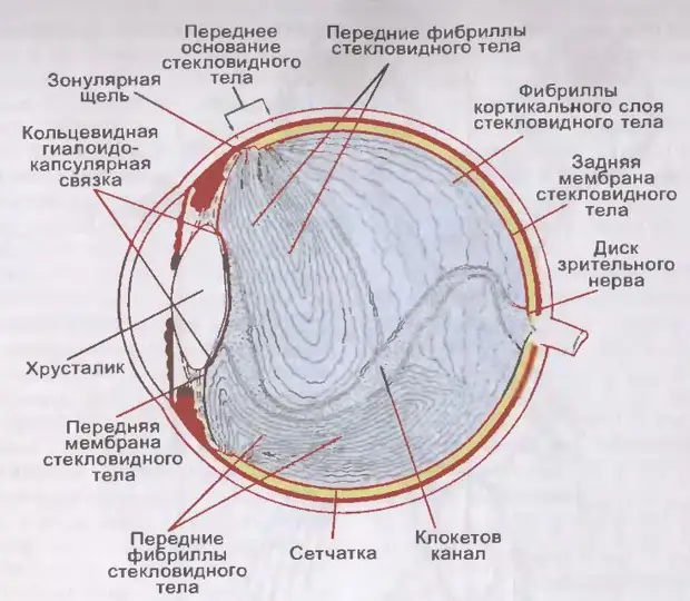 պատկեր