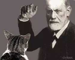 Kačių ir gyvūnų hipnozė