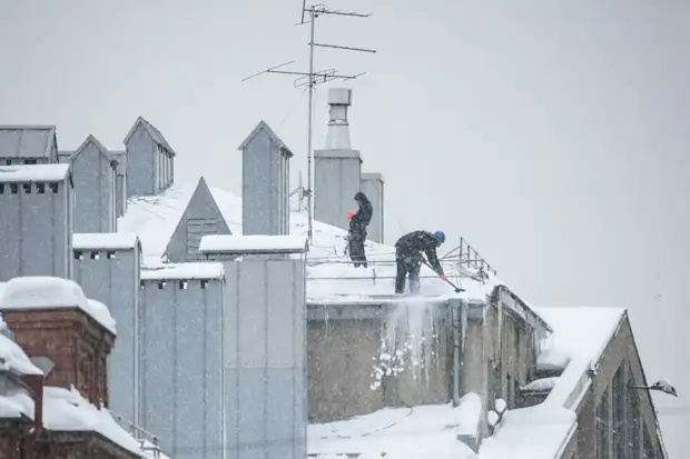 I St. Petersborg anslår industrielle klatrere deres tjenester til rengøring af tage fra sne og is i gennemsnit fra 23 til 30 rubler per kvadratmeter. Foto: Nikolay Gontar