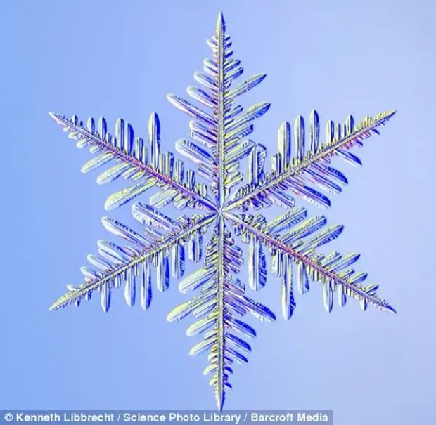 snowflake, i lalo o le microscope, polofesa