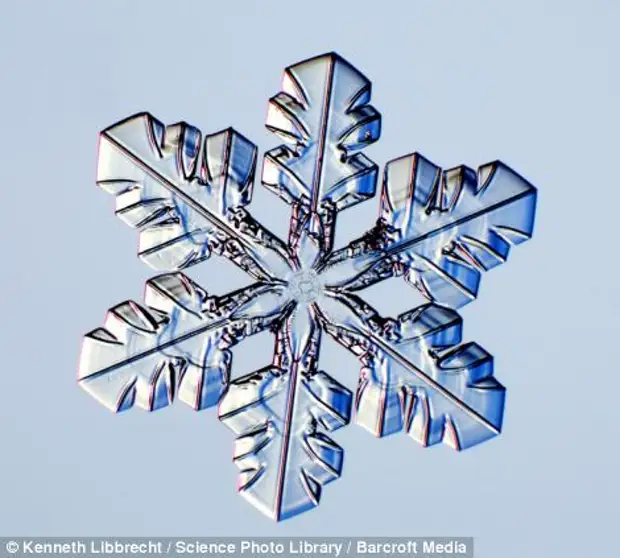 snowflake, i lalo o le microscope, polofesa