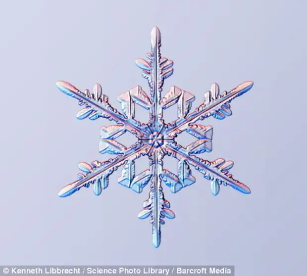 snowflake, nyob rau hauv lub microscope, xibfwb