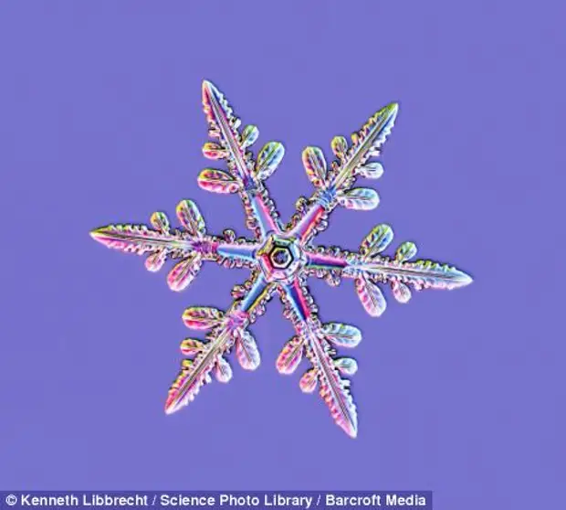 snowflake, i lalo o le microscope, polofesa