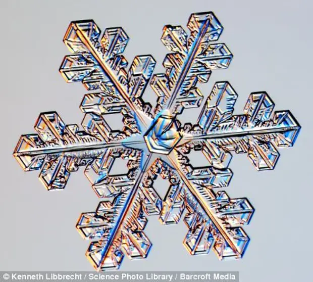 snowflake, nyob rau hauv lub microscope, xibfwb