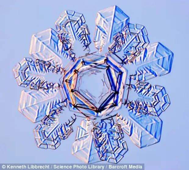 snowflake, i lalo o le microscope, polofesa