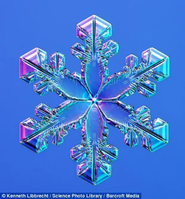 snowflake, i lalo o le microscope, polofesa