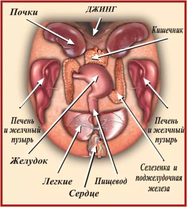 Diagnostics nemutauro. Dr. Rafi Rosen