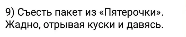 10 ствари које можете учинити са својом мачком