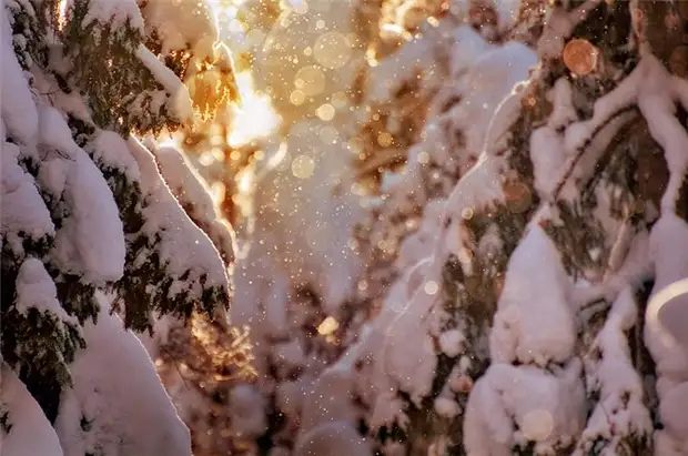 Cuento de invierno ...