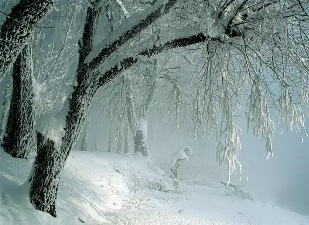 Cuento de invierno ...