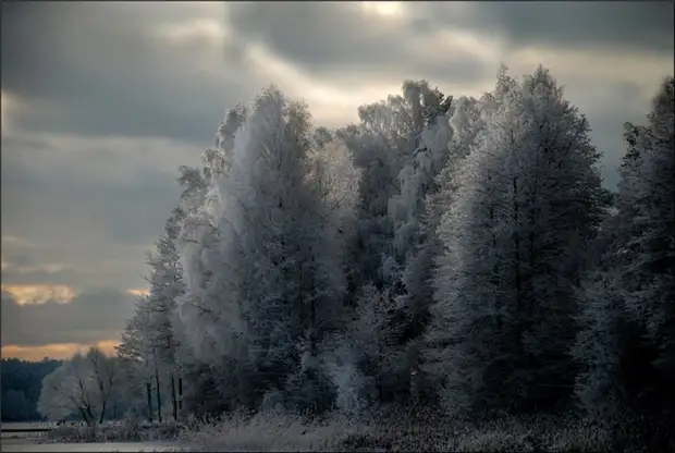 Cuento de invierno ...