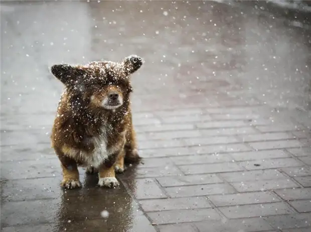 Cuento de invierno ...