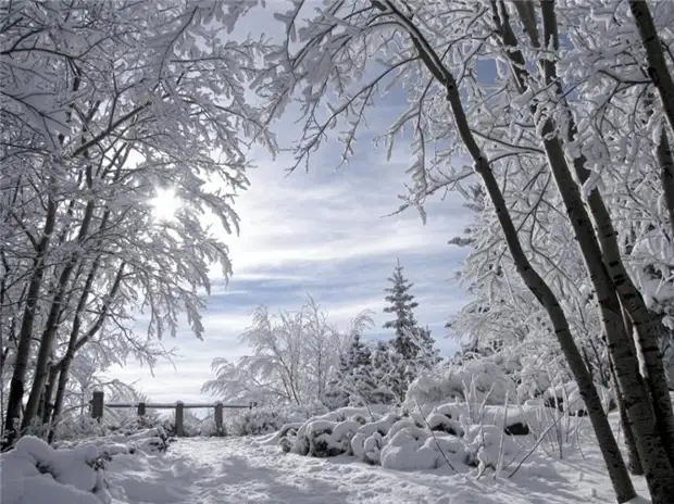 Cuento de invierno ...