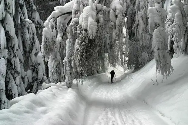 Cuento de invierno ...