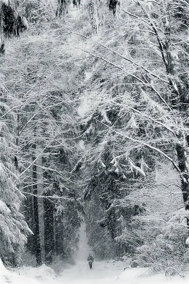 Cuento de invierno ...