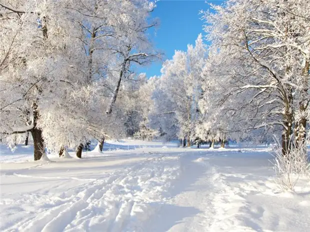 Cuento de invierno ...