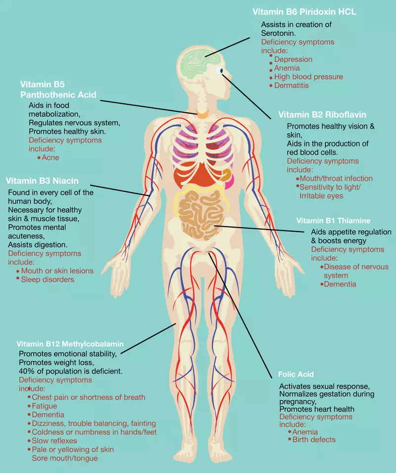 En komplett guide til B-vitaminer: hva er trusselen om en mangel og hvordan du fyller den