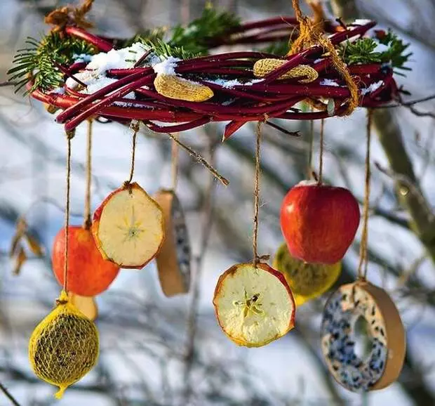 Dai da mangiare agli uccelli in inverno o 6 mangiatoie per uccelli fai-da-te creative