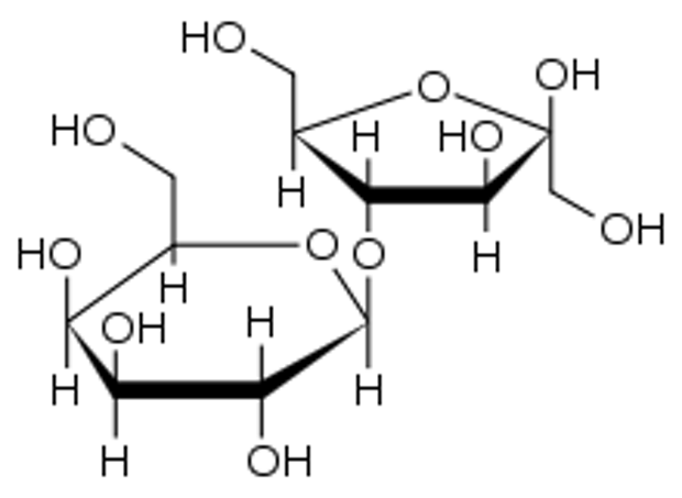 Lignin-based enterosorbents