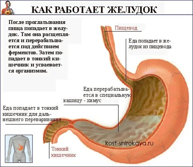 Afaka misotro miaraka amin'ny sakafo ve aho, manasa azy amin'ny rano?