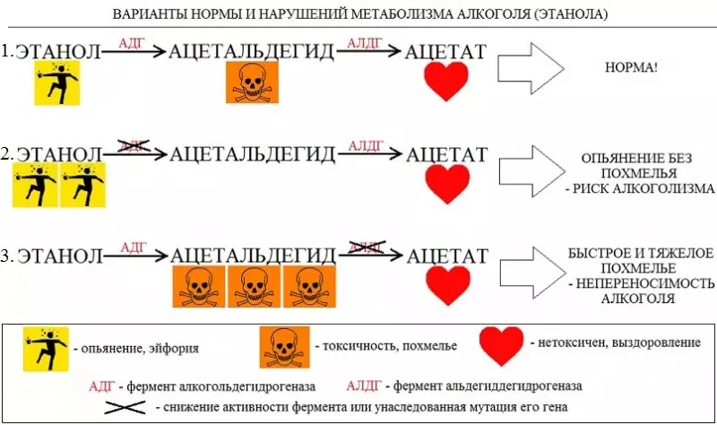 Алкоголь - найсильніший наркотик з погляду медицини