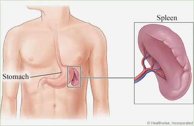 Ang Tawo nga Walay Spleen Part 1