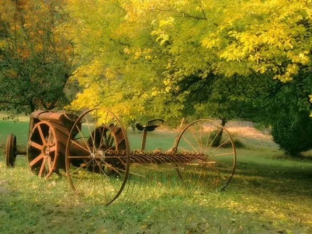 Oltin kuz. Fotosuratlar va bir nechta oddiy maslahatlar