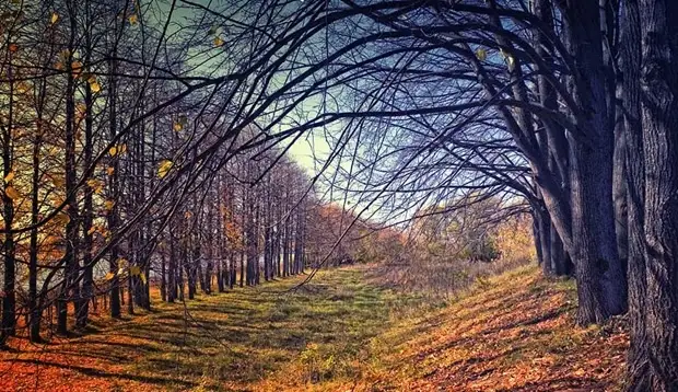 Oltin kuz. Fotosuratlar va bir nechta oddiy maslahatlar