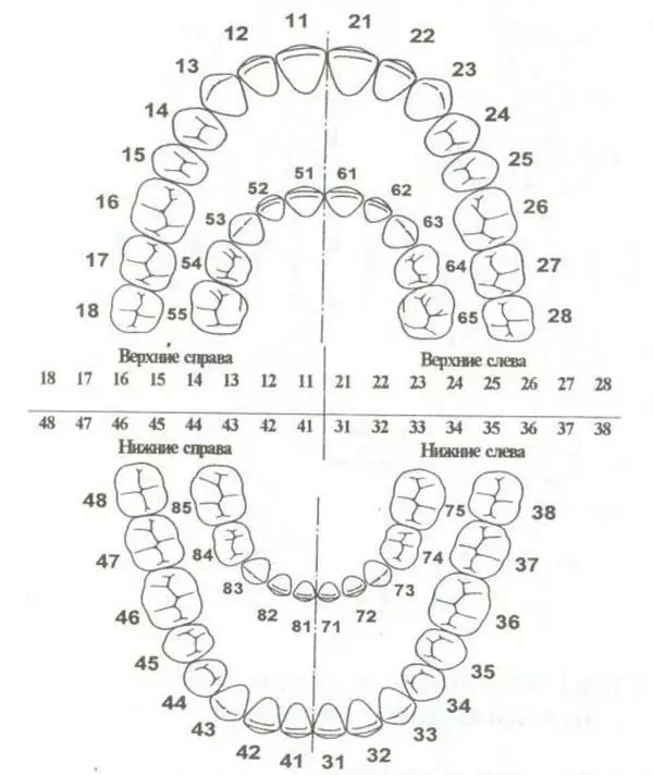 24 faktoj pri krampoj (persona sperto)