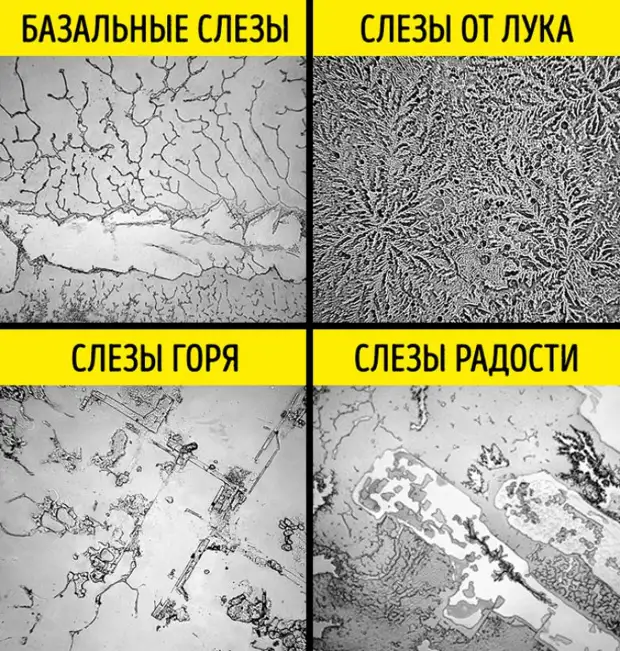 8 невероятни неща, които доказват, че тялото ни е най-сложната система в света